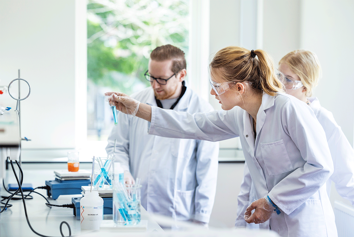 British Summer School - OBAS Group - Online British Admissions Service